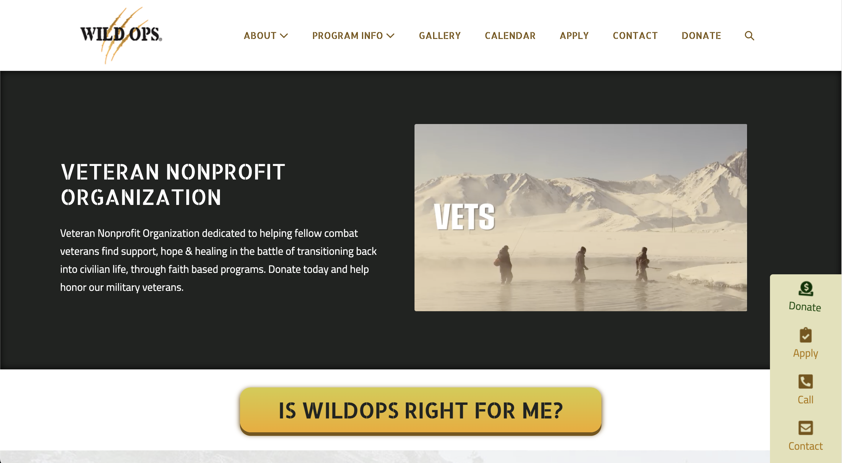 DevFrank Top Web and App Developer